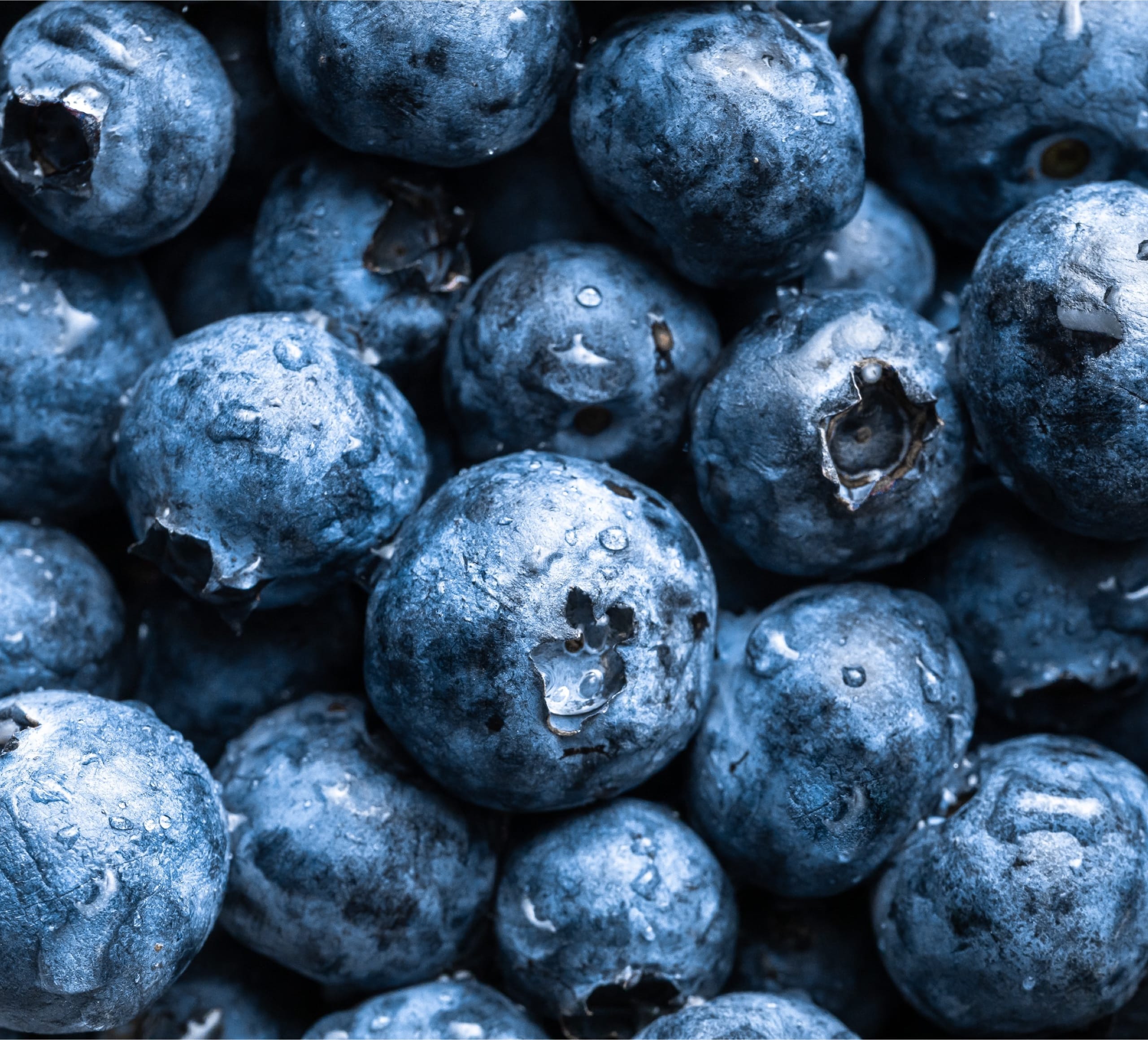 Home - Indigo Natural Products : Indigo Natural Products